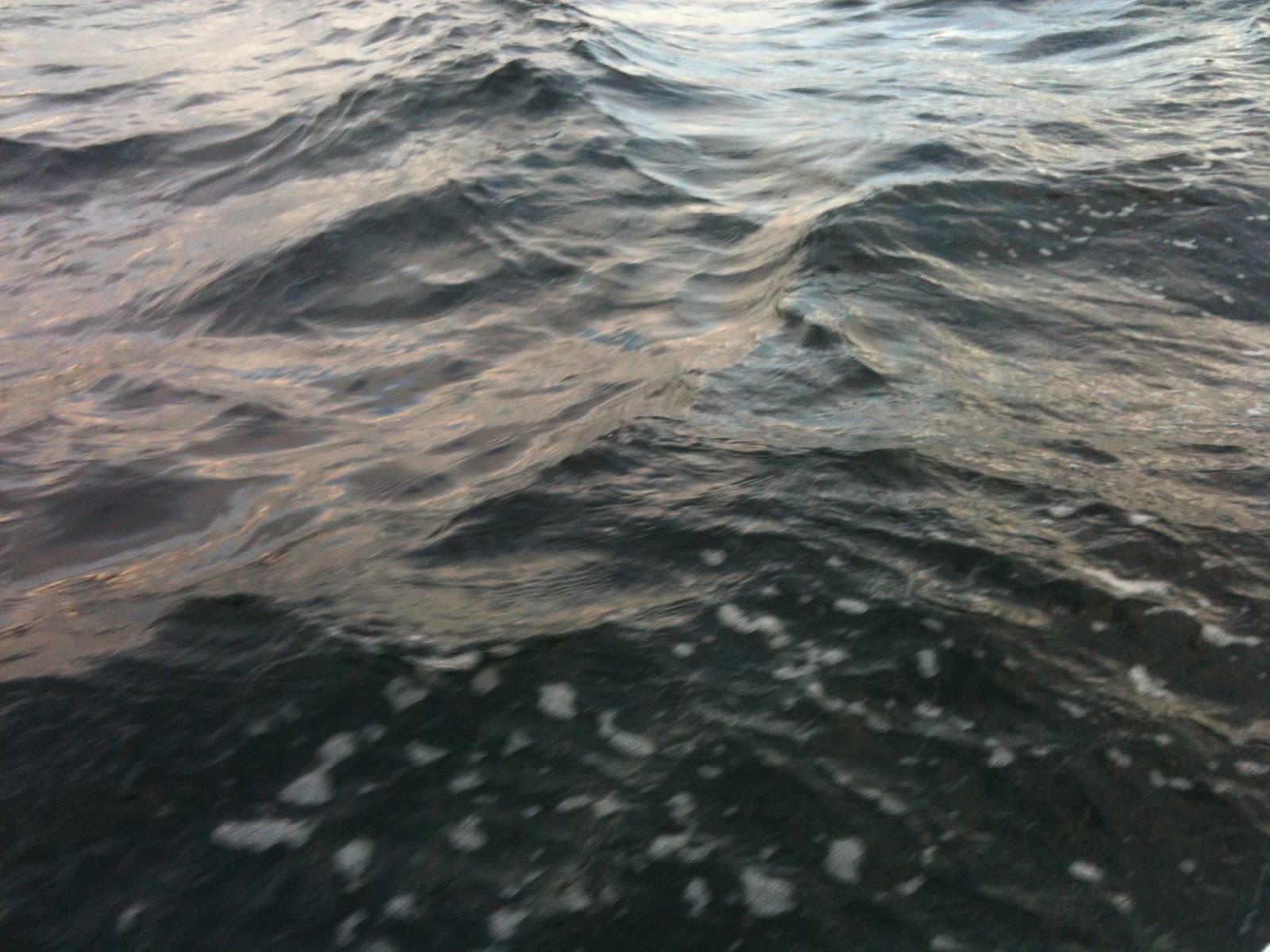 "Annabelle" - Primvent 21